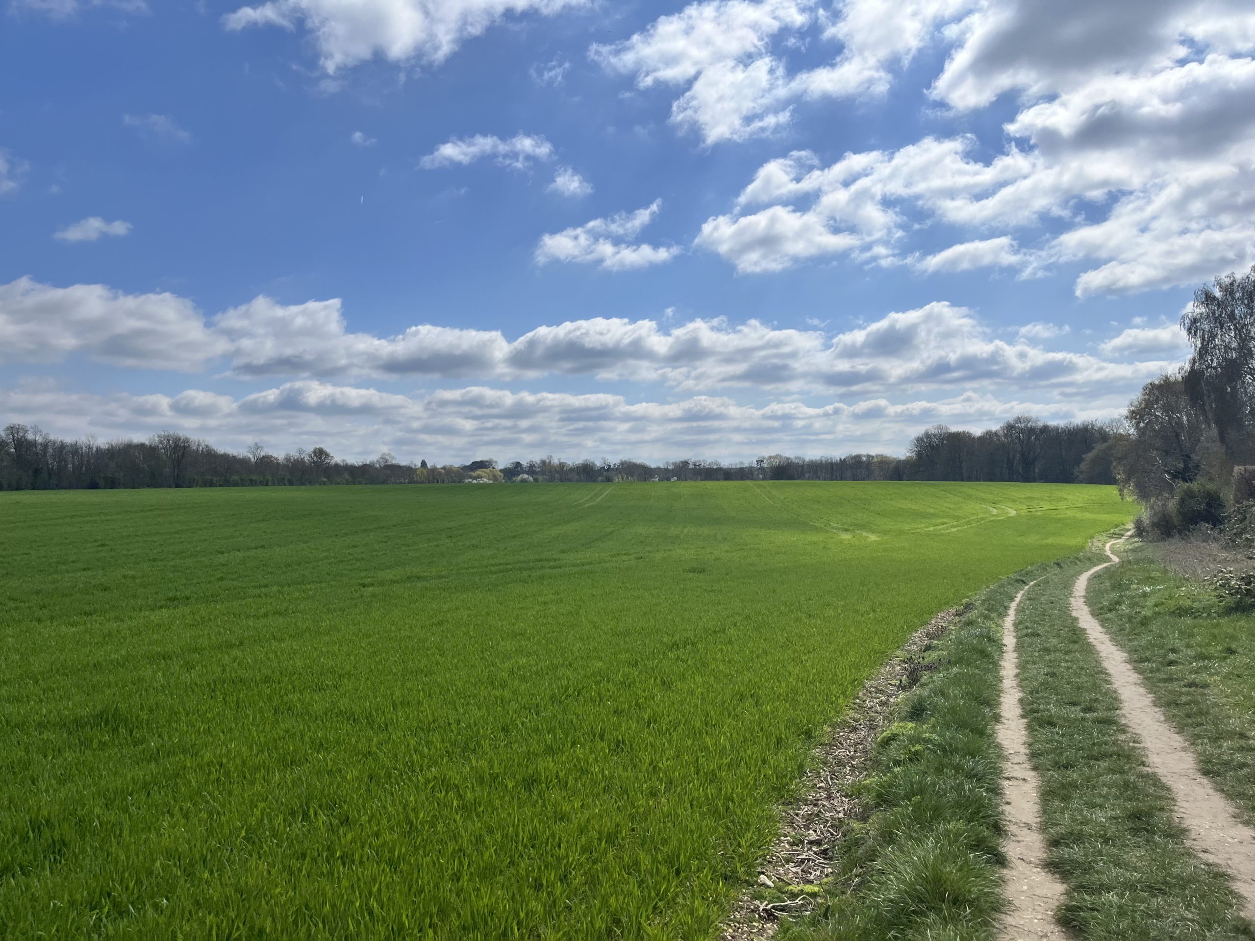 Protocols not platforms for making change in complex human systems – Chris Corrigan